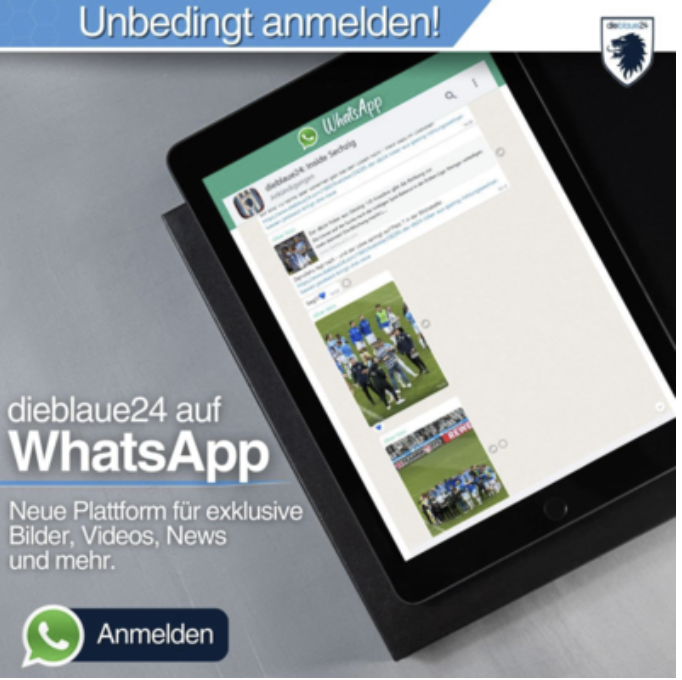 Neue db24-Whatsapp-Gruppe "Inside Sechzig": Jetzt anmelden!